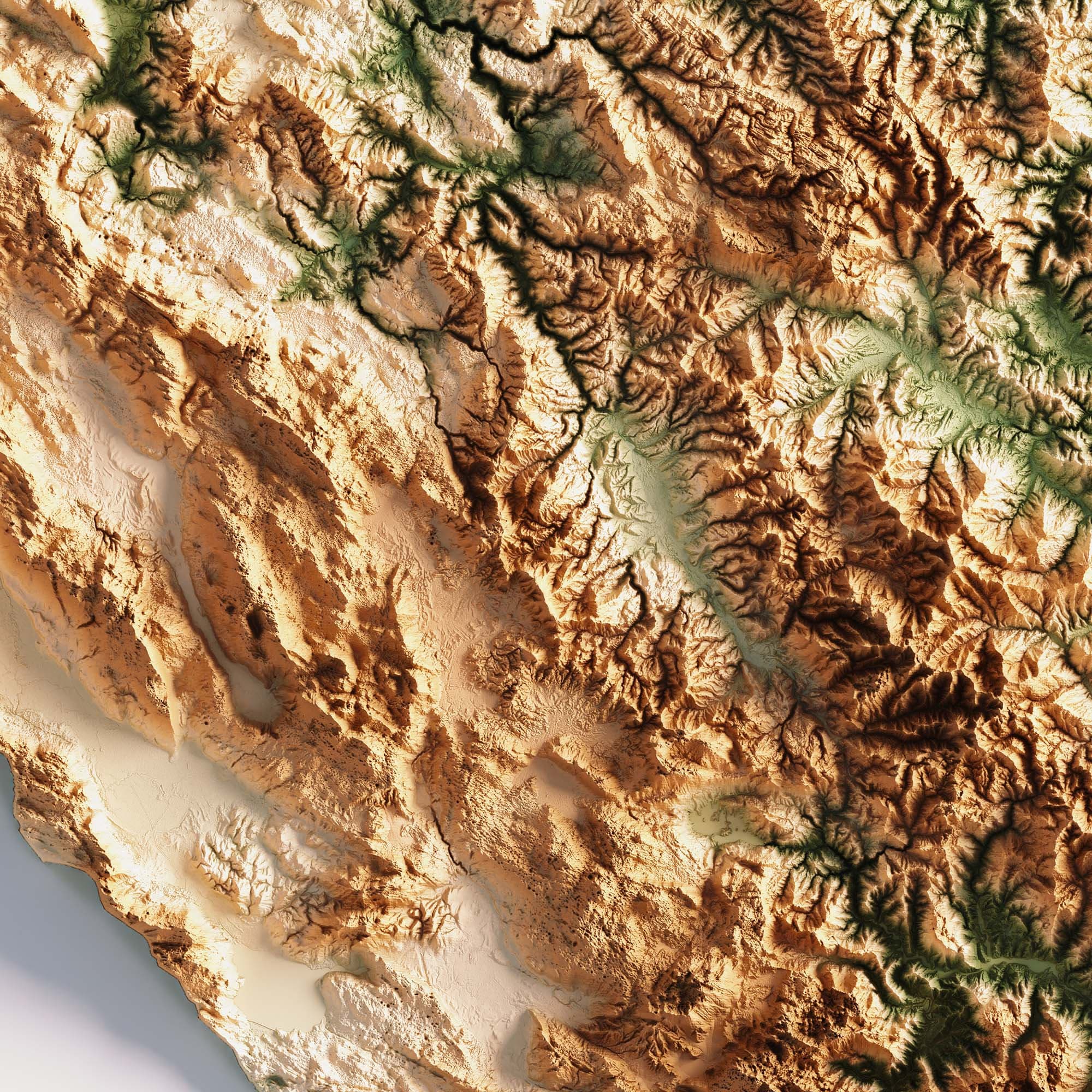 Bosnia and Herzegovina Elevation Map geo 2D Poster Shaded Relief Map ...