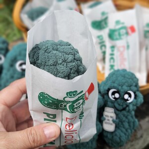 Pat the Pickle Crochet Pattern: No Sew Beginner Friendly (PDF Pattern ...
