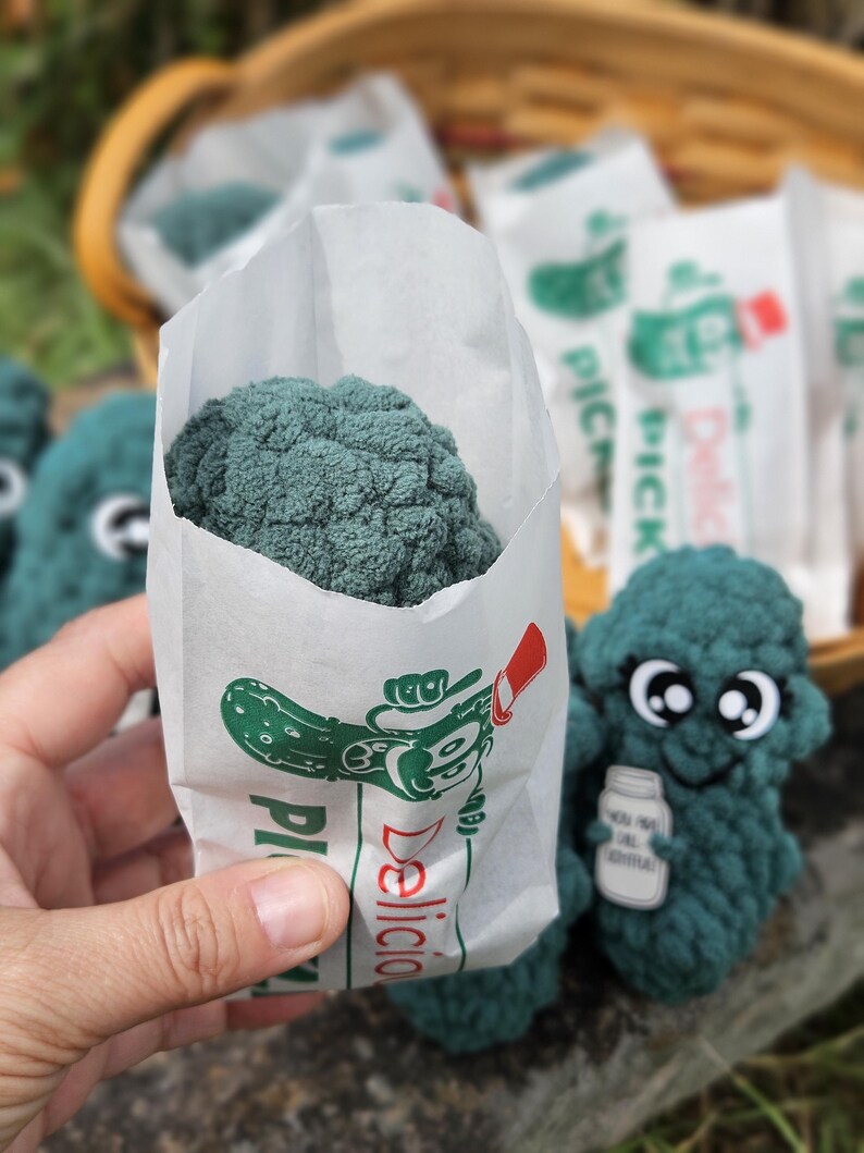 Pat the Pickle Crochet Pattern: No Sew Beginner Friendly (PDF Pattern ...