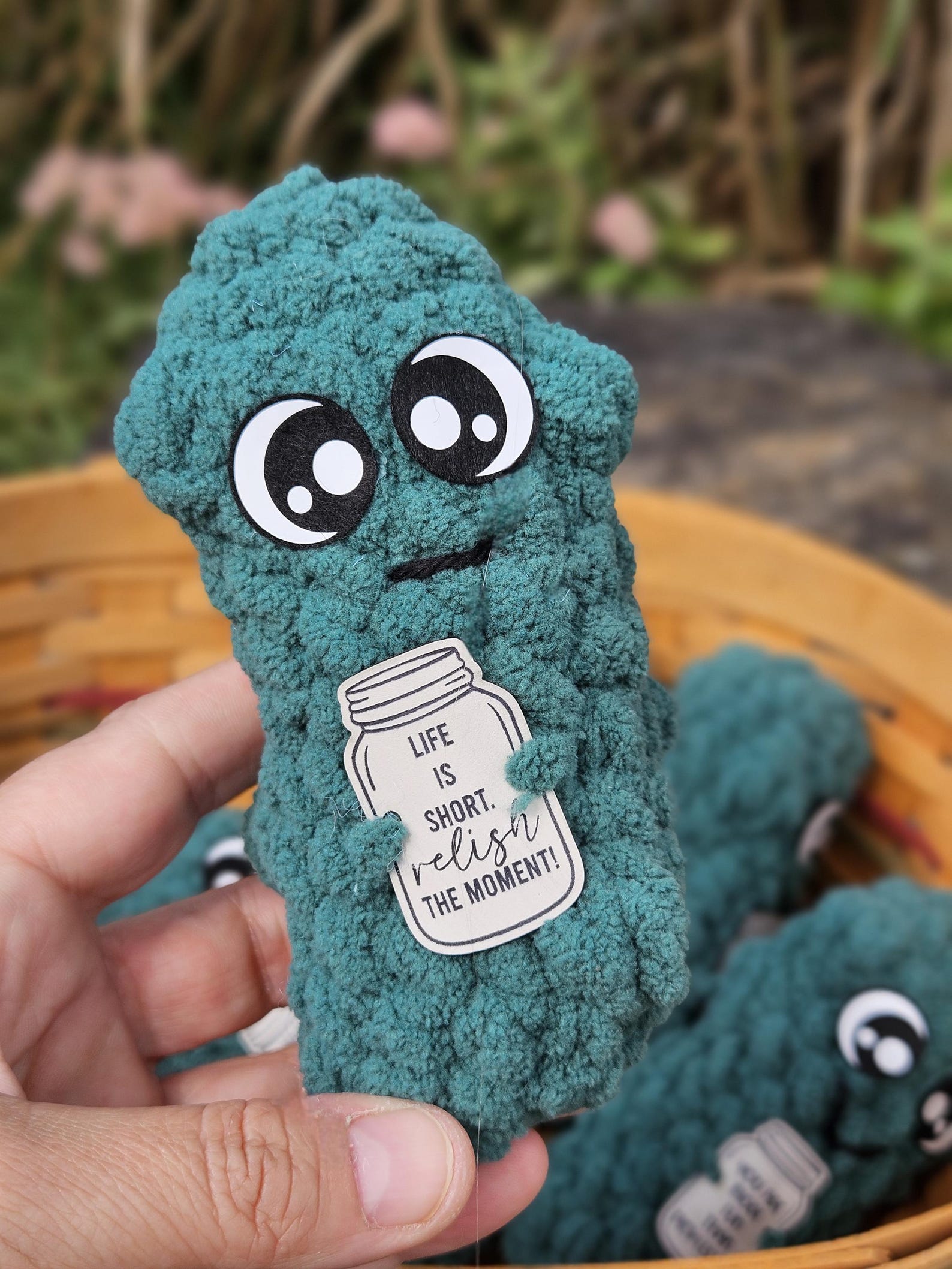 Pat the Pickle Crochet Pattern: No Sew Beginner Friendly (PDF Pattern ...