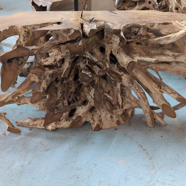 Teak Root - Etsy