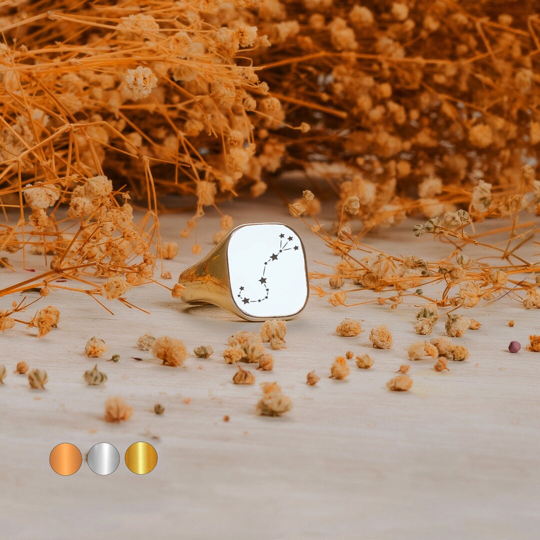 Zodiac Constellation Engraved Silver Signet Ring, Libra Ring, Scorpio ...