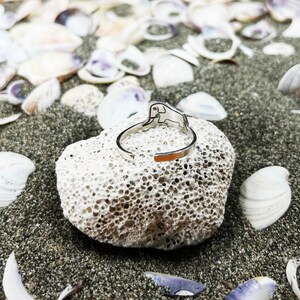 The Little Prince Silver Ring, Hidden Elephant Ring, A Hat or a Boa ...