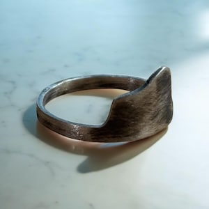 The Little Prince Silver Ring, Hidden Elephant Ring, A Hat or a Boa ...