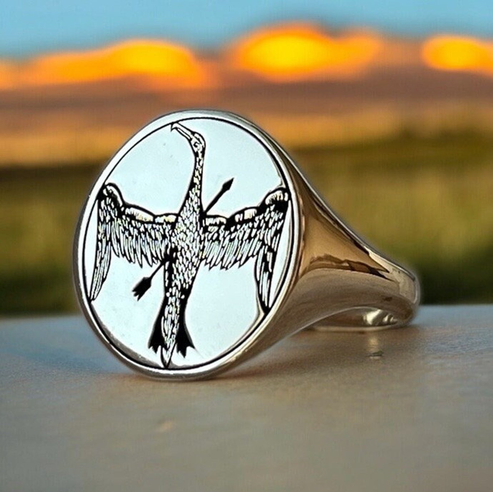 Albatross Signet Ring, the Great Wandering Albatross Bird Ring, Oval ...