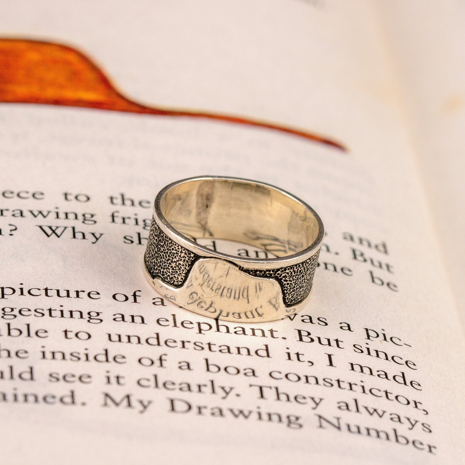 The Little Prince Silver Ring, Hidden Elephant Ring, A Hat or a Boa ...