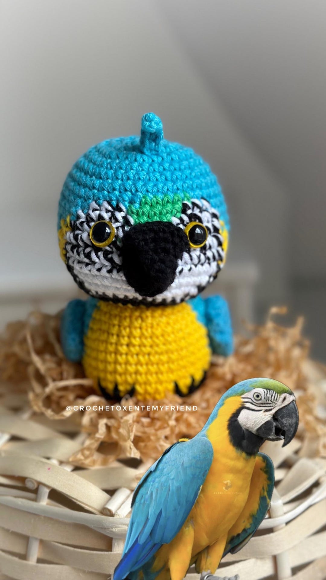 Blue-throated Macaw Crochet Amigurumi - Caninde Macaw - Wagler's Macawlittle Bird - Little Bird ...