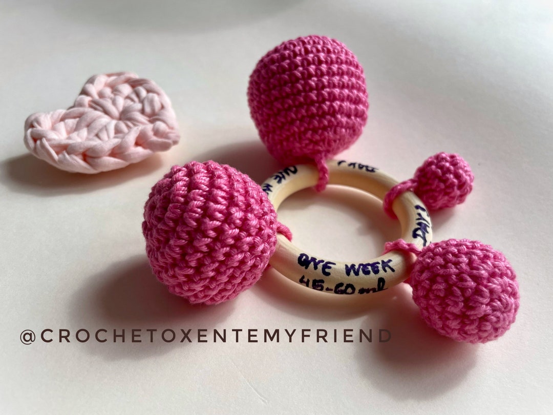 Stomach Teaching Model - Lactation Consultant - Breastfeeding Teaching ...