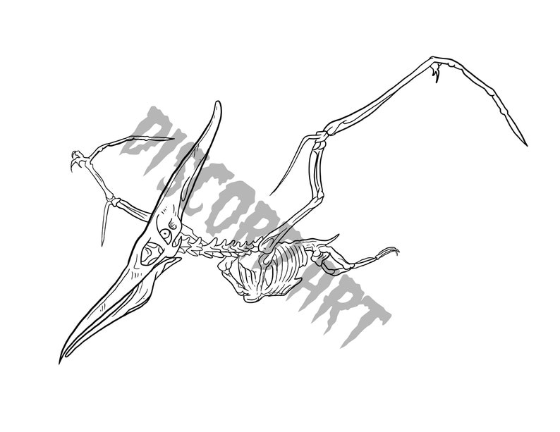 Pterodactyl Skeleton Digital PNG Tattoo Clip Art Download - Etsy