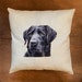 Black Labrador 14x 14 Pillow - Etsy