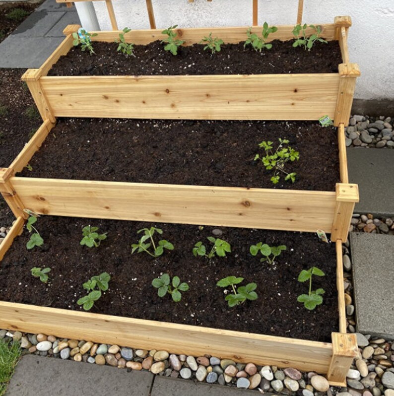 3 Tier Raised Garden Bed Wooden Elevated Garden Bed Kit For Etsy