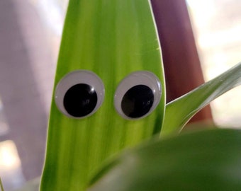 Magnetic Plant Eyes - Etsy
