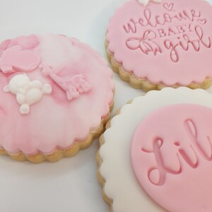 Its a Girl Cookies/ Baby Shower/ New Baby Girl/ Baby Girl Gift/ New Mum ...