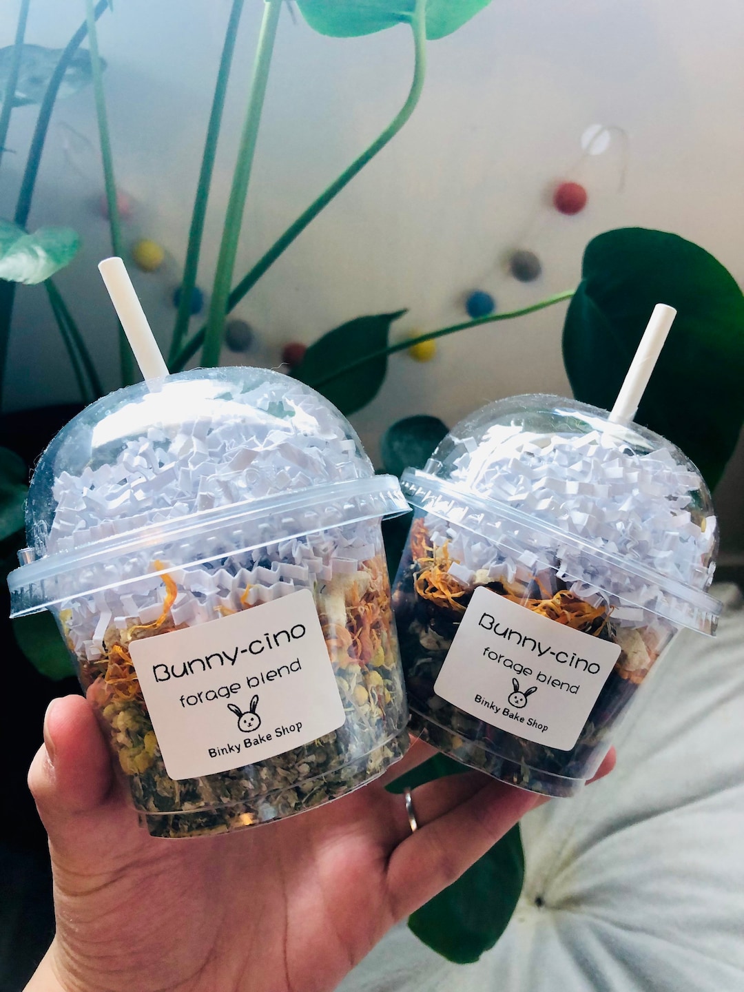 BUNNY-CINOS Forage Blend for Rabbits, Cute Pet Bunny Treats, Starbucks ...