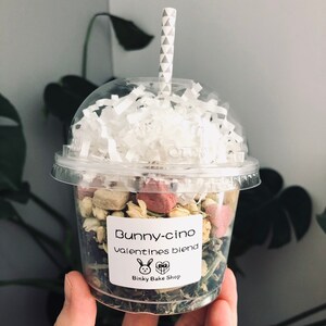 BUNNY-CINOS Forage Blend for Rabbits, Cute Pet Bunny Treats, Starbucks ...