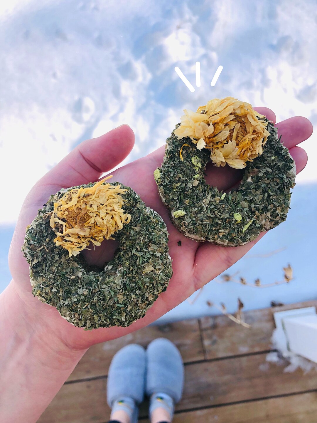 Oat Free Donuts, Mochi Donuts for Rabbits, Pet Bunny Treats With ...