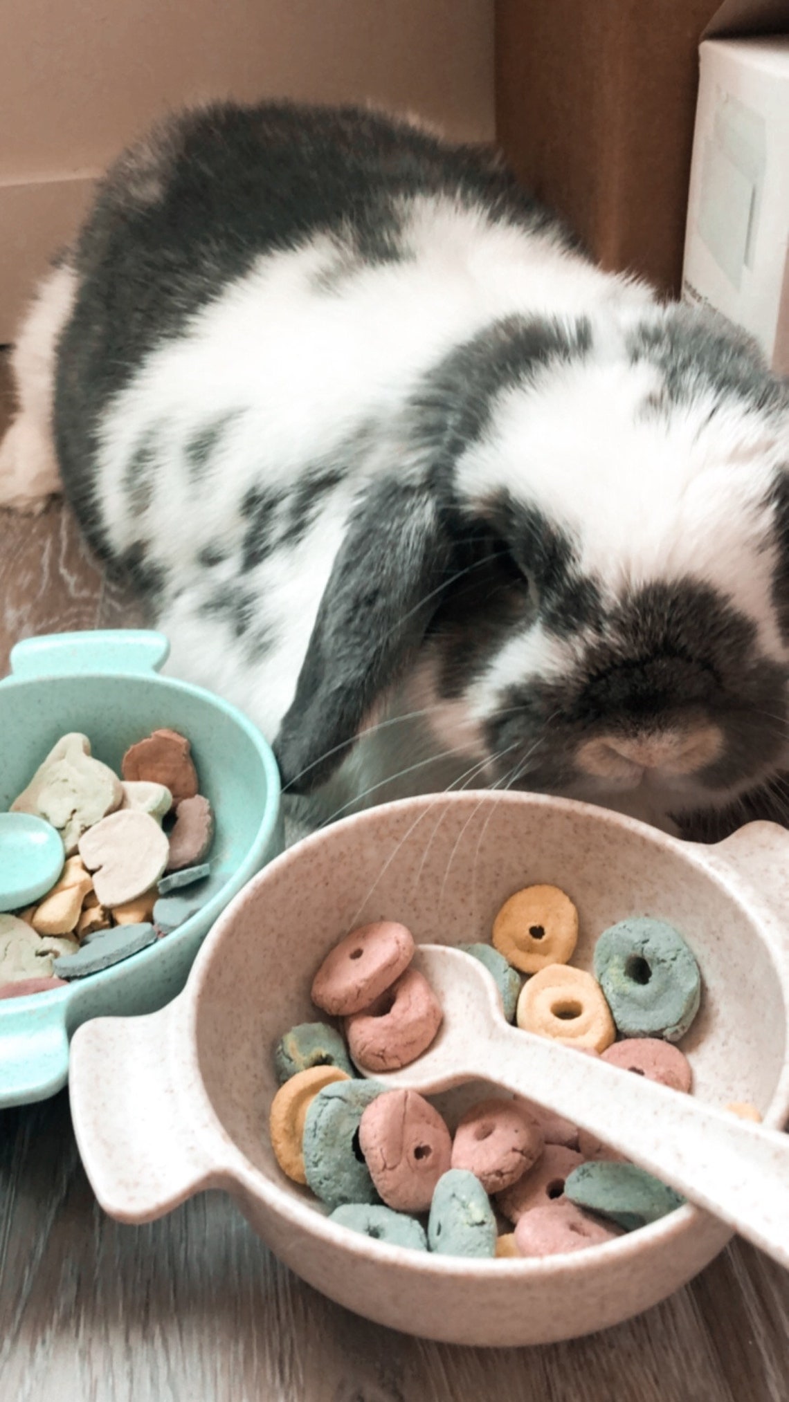 Bunny O's Cereal Treat Rabbit Fruit Loops Inspired Treat | Etsy