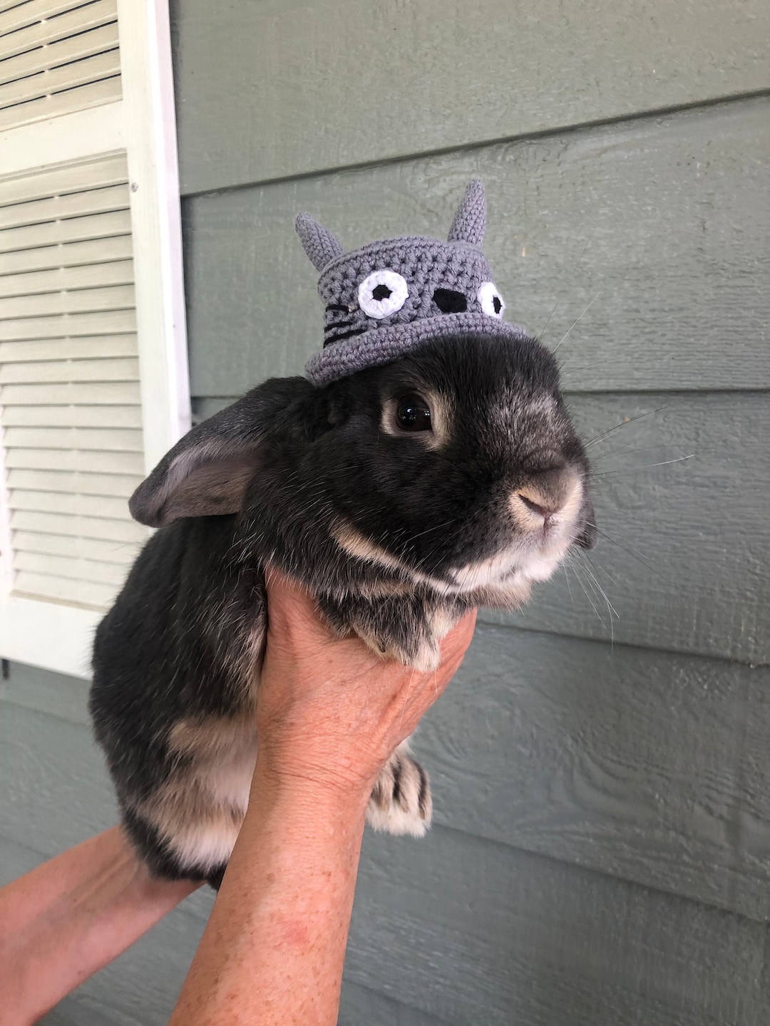 Pet Rabbit Hats, Crochet Bunny Hats for Small Pets, Small Animal ...
