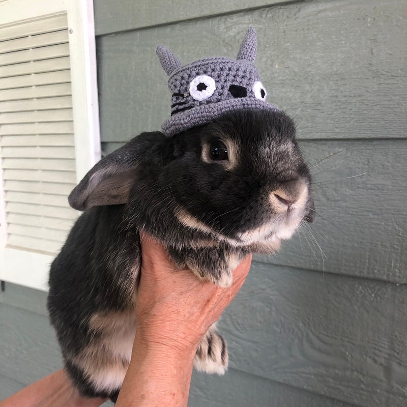 Pet Rabbit Clothing - Etsy