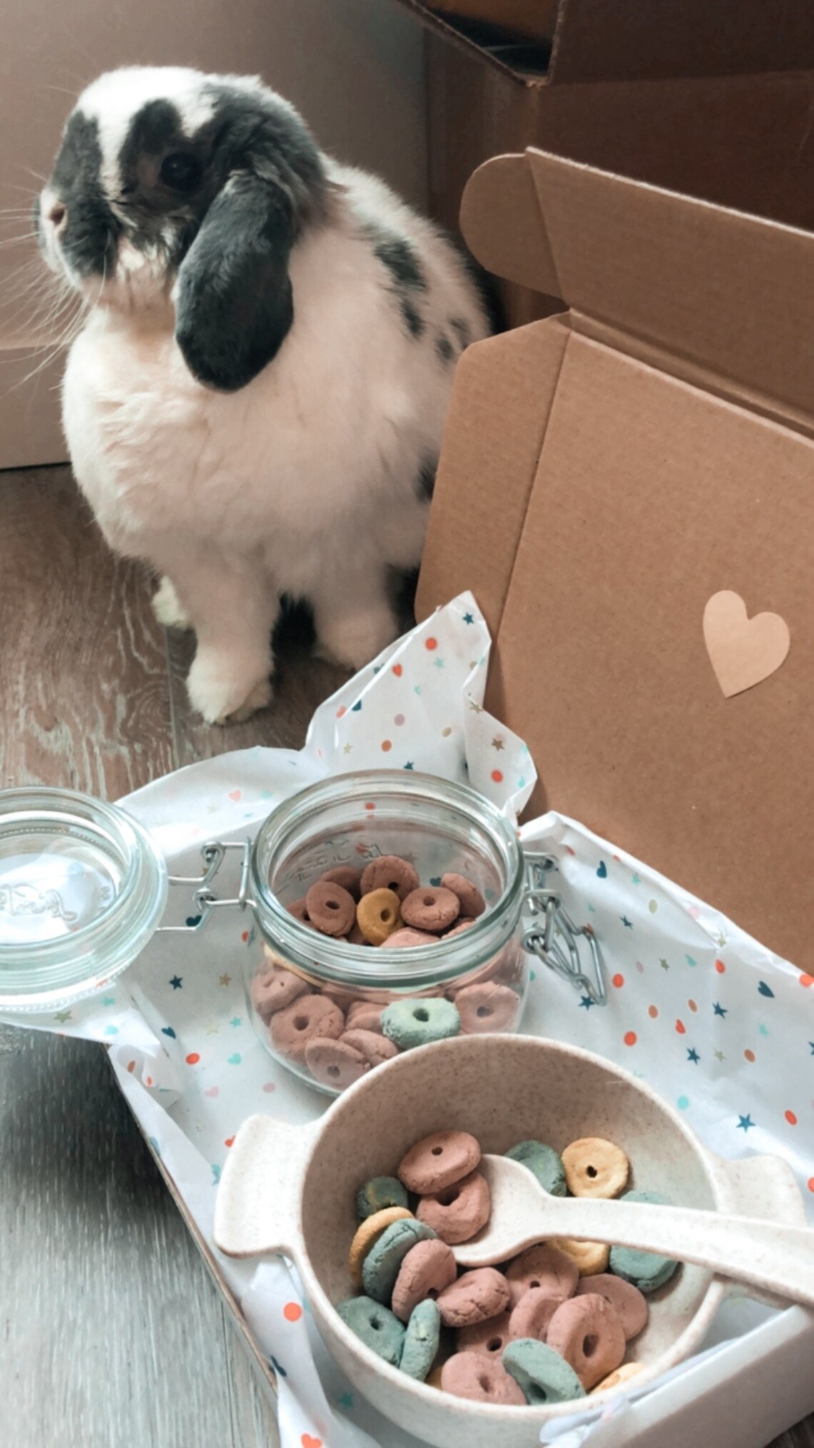 Bunny O's Cereal Treat Rabbit Fruit Loops Inspired Treat | Etsy