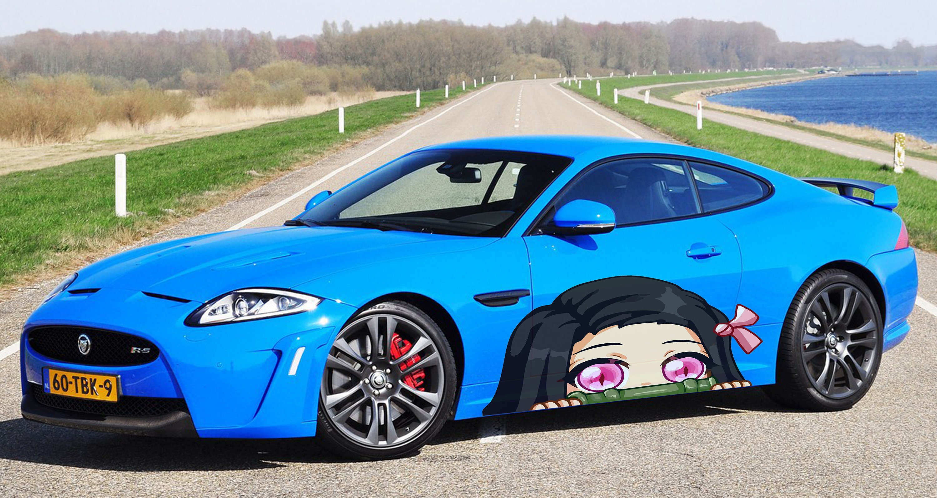 Car Wrap Vinyl Sticker Side Graphics Anime Girl Japanese Manga Art Car ...