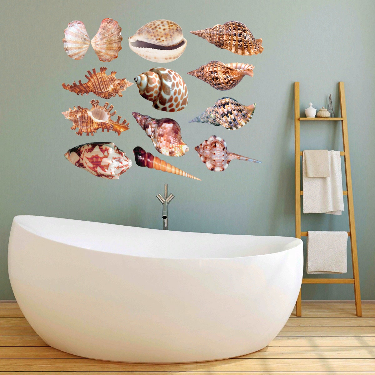 Sea Shells Wall Decals Sticker Sea Shells Wall Decal | Etsy