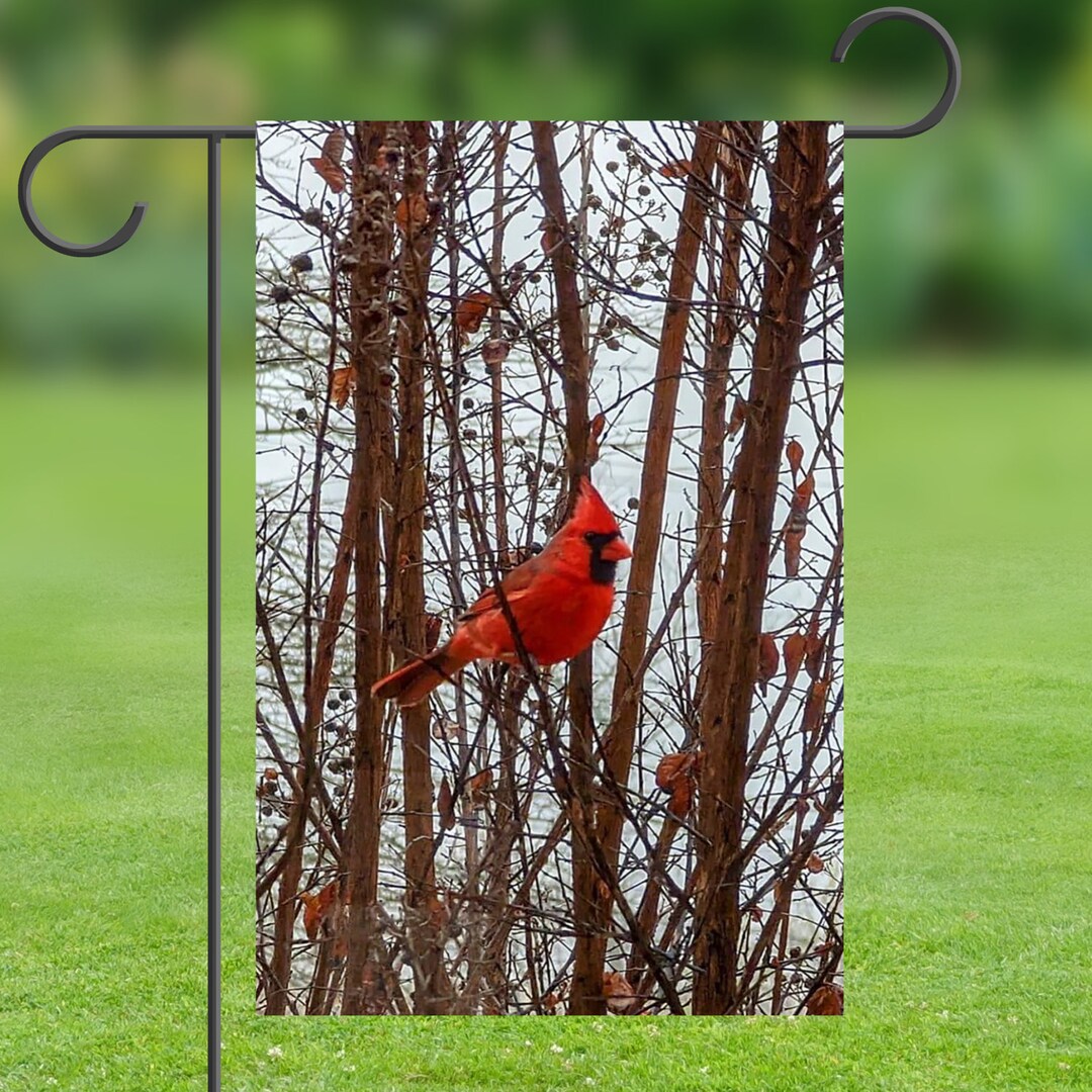 Cardinal Garden/wall Flag - Etsy
