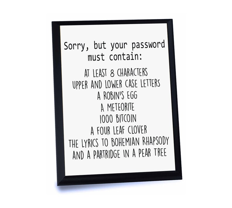 Funny Programmer Sign Plaque Sorry Your Password Must Contain Software Developer Computer 