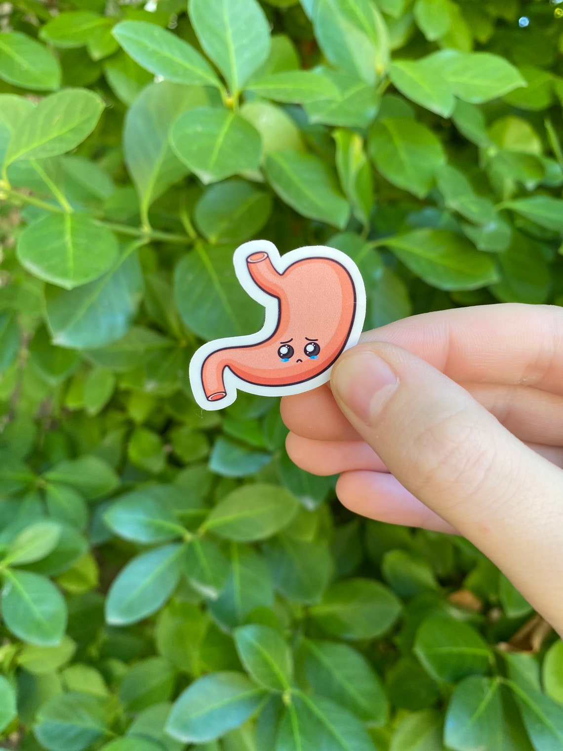 Stomach Sticker Chronic Illness Sticker Laptop Sticker - Etsy