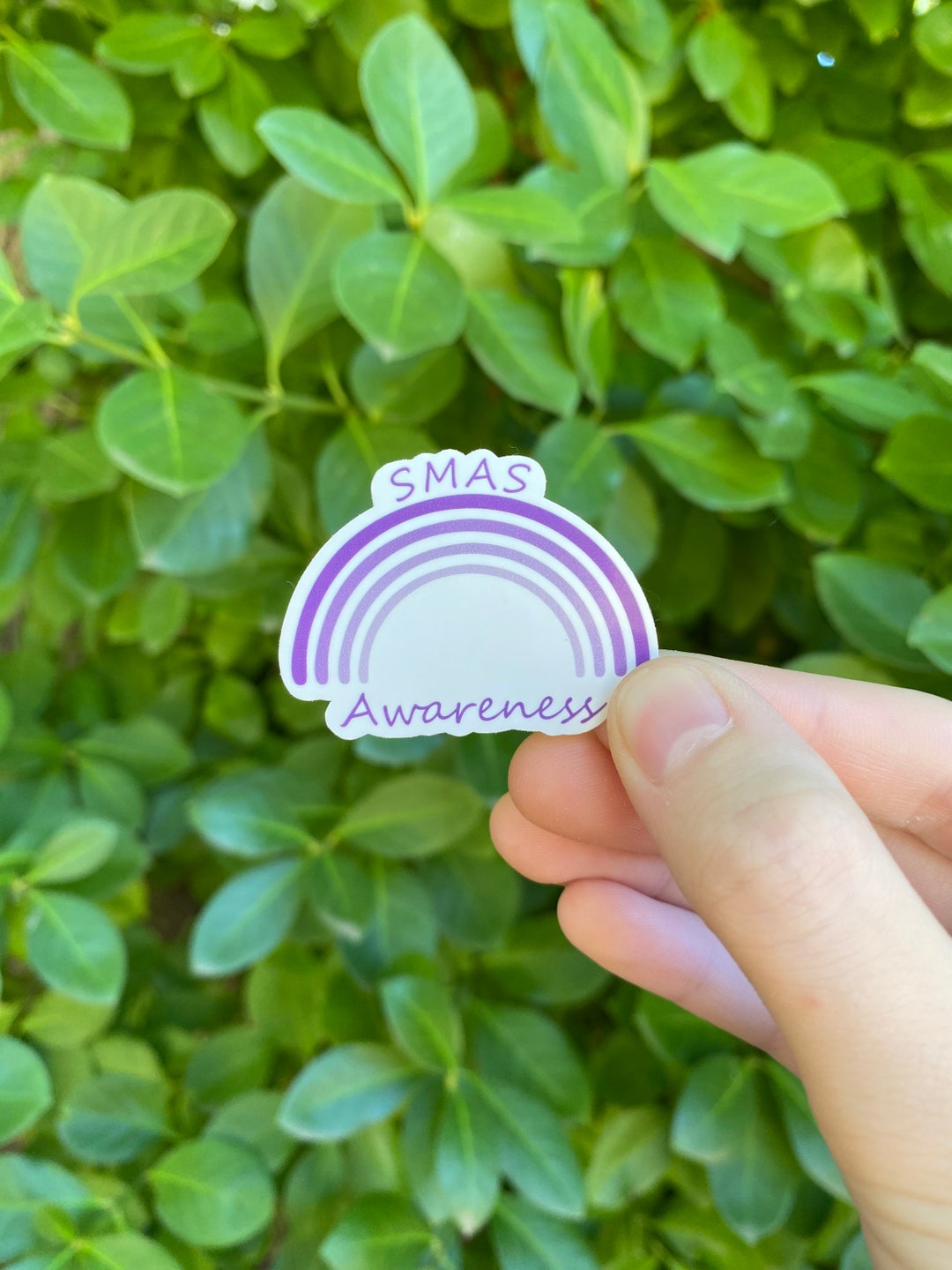 SMAS Awareness Sticker, Chronic Illness Sticker, Laptop Sticker, Water ...