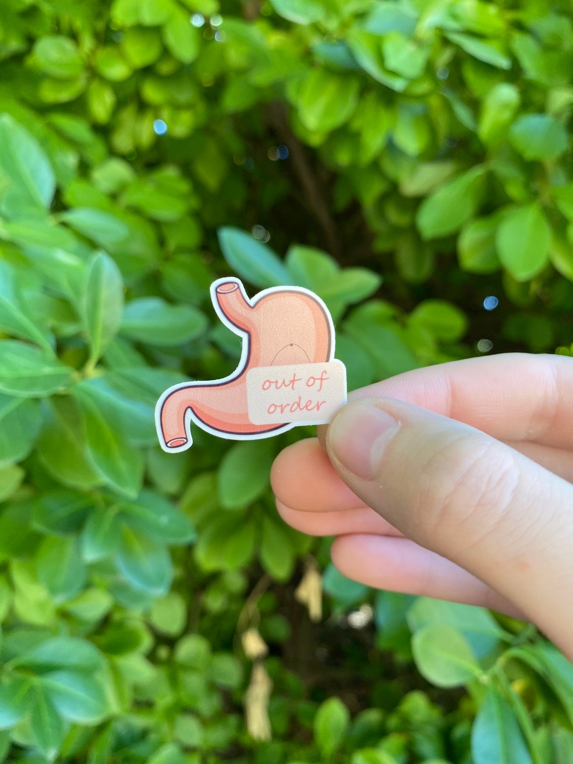 Out of Order Stomach Sticker Chronic Illness Sticker Laptop - Etsy