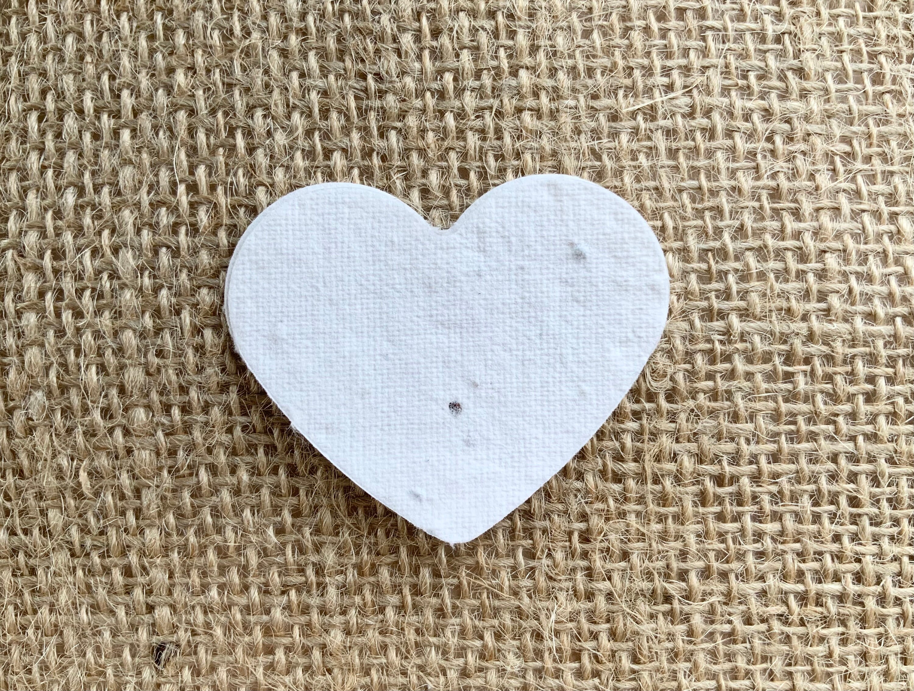Bulk Seed Paper Hearts Eco Friendly Paper Seed Hearts - Etsy UK