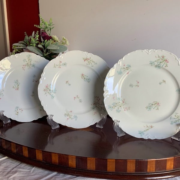 Limoges Haviland China Patterns. Antique - Etsy