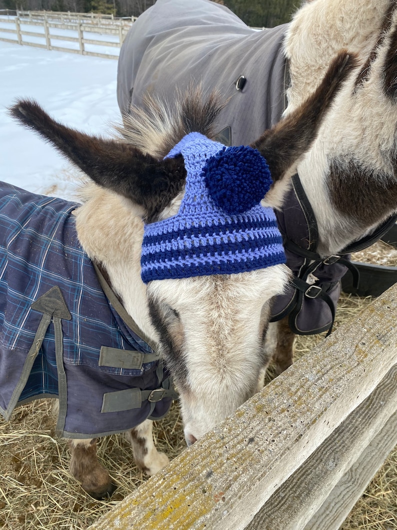 Two-color Hat - Mini Donkey - Etsy