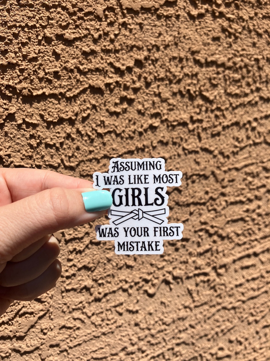 Youth Karate Sticker, Kid Belt Rank, Gift for Daughter, Taekwondo Belt ...