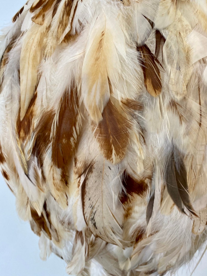 Cream Beige Feathers Rooster Elegant Glamorous Lightweight Luxury ...