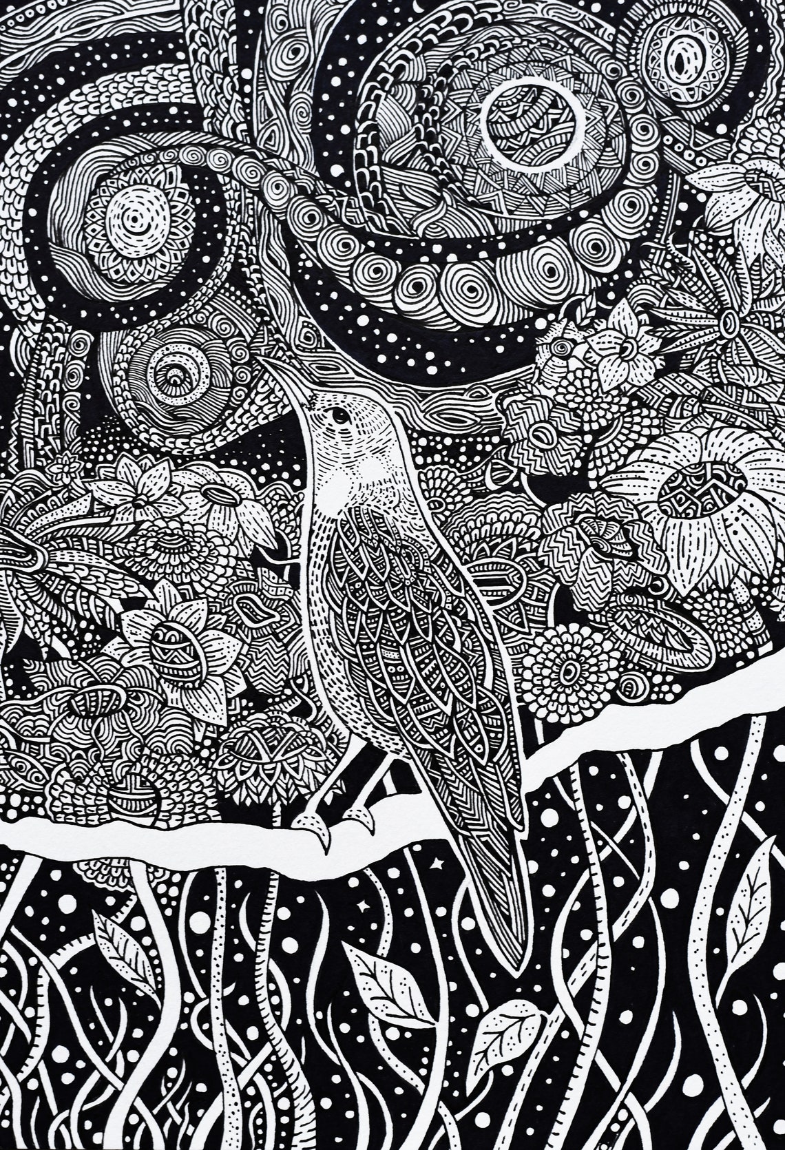 Nightingale Fine Art Print | Pen and Ink Bird Drawing - Etsy