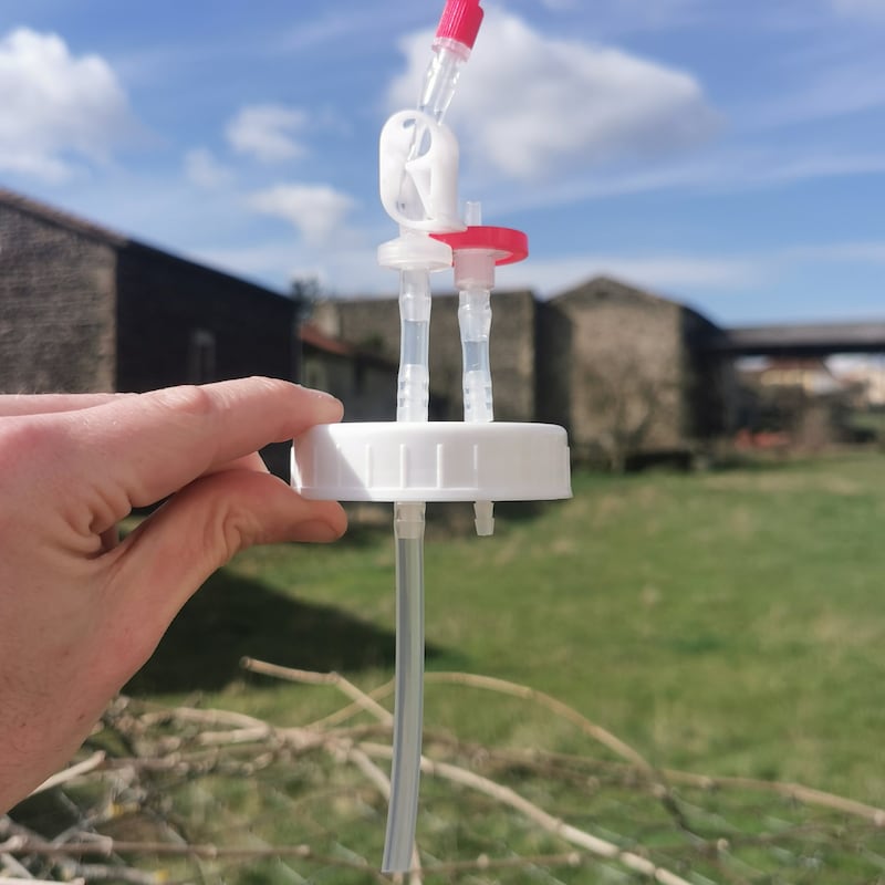 Liquid Culture Mycology - Etsy