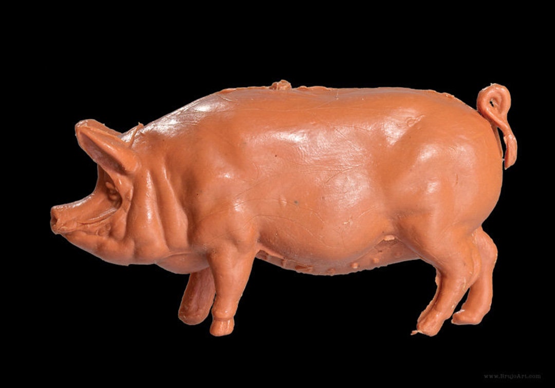 PLASTIC FANTASTIC: Pig - Etsy