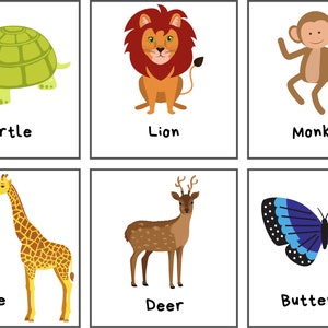 Printables Flash Cards for Toddlers Animals, Fruits, Vegetables, Shapes ...