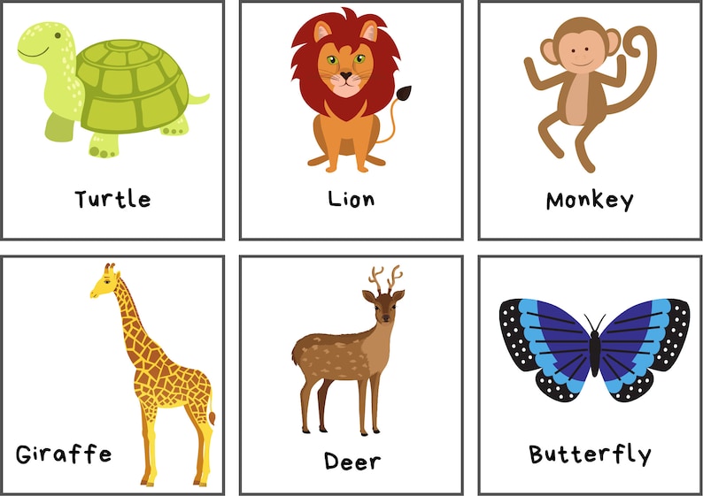Printables Flash Cards for Toddlers Animals, Fruits, Vegetables, Shapes ...