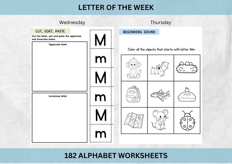 Alphabet Worksheets: Letter of the Week, Homeschool Printable (PDF) - Etsy