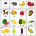 Printables Flash Cards for Toddlers Animals, Fruits, Vegetables, Shapes ...