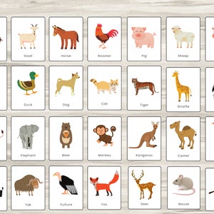 Toddler Flash Cards: Alphabet, Numbers, Shapes (digital Download) - Etsy