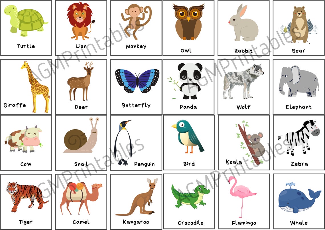 Printables Flash Cards for Toddlers Animals, Fruits, Vegetables, Shapes ...