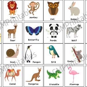 Printables Flash Cards for Toddlers Animals, Fruits, Vegetables, Shapes ...