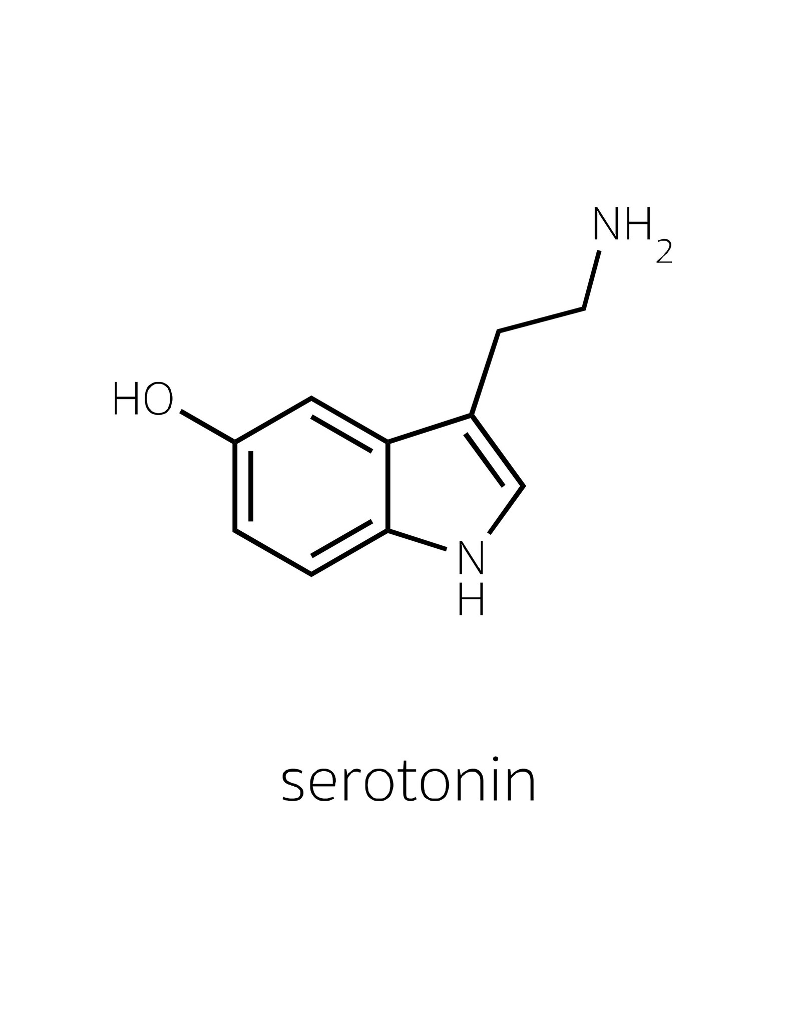 Serotonin Molecule Print Science Poster Printable Wall Art | Etsy