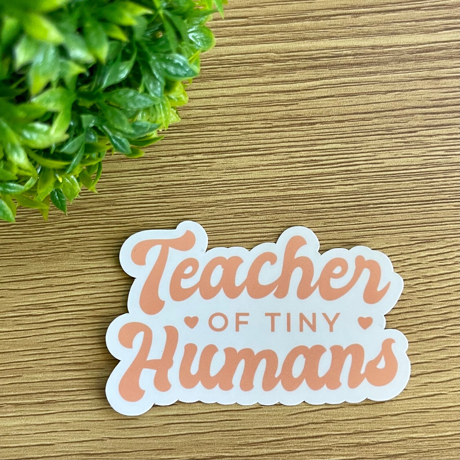 SPED Sticker Pack Special Education Teacher Thank You Gift | Etsy