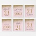 Pink and Gold 21st Birthday Party Decorations Women, Hello 21 Cheers ...