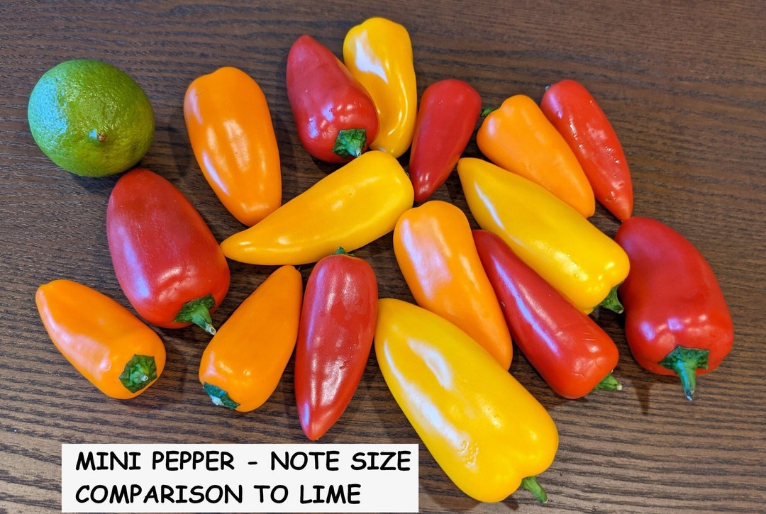 Mini poivrons colorés à rôtir, salades et plus encore : cultivez vos ...